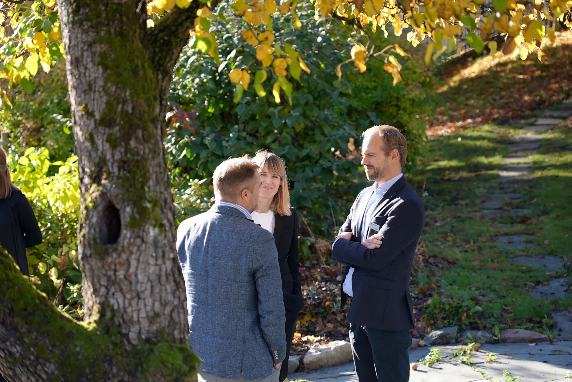 Sweden on the rise in offshore wind – Norwegian Offshore Wind
